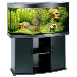Juwel Vision 260 Aquarium&Cabinet | Neptune Aquatics